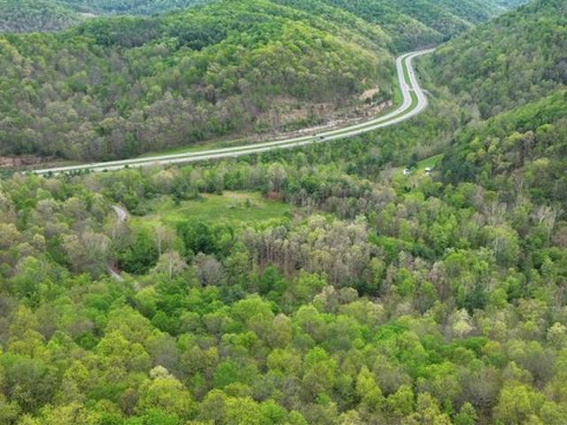 100 Polemic Run Rd, Little Birch, WV 26629