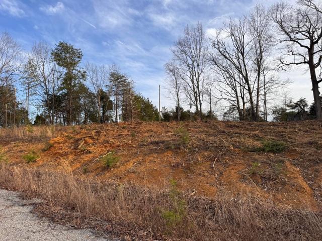 100 Pine Hollow Rd