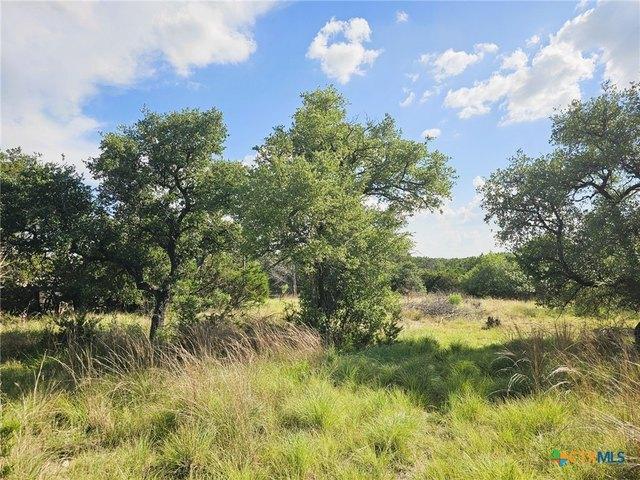 100 Reavis Dr Lot 8A, Kempner, TX 76539