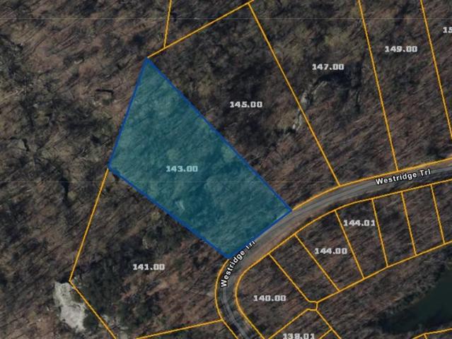100 Westridge Trail