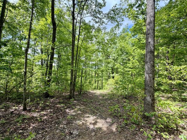 100A Open Fork Road