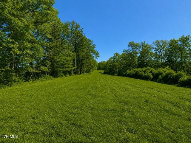 100ac Poplar Springs Tract 2 Road