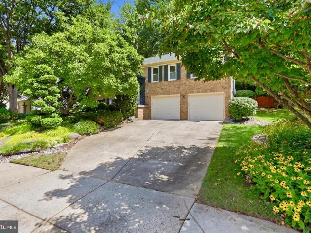 10147 Red Spruce Road