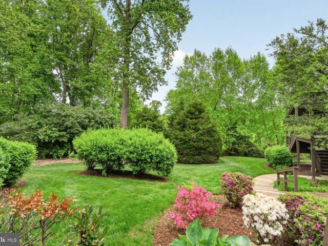 10146 Oakton Terrace Road # 10146