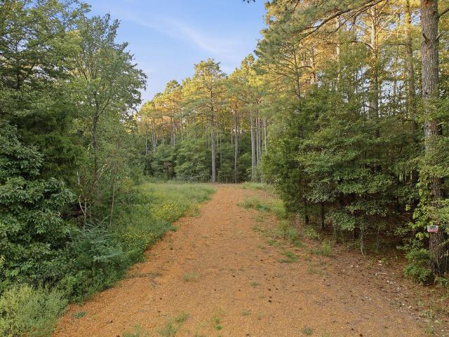 1014 Cypress Trail