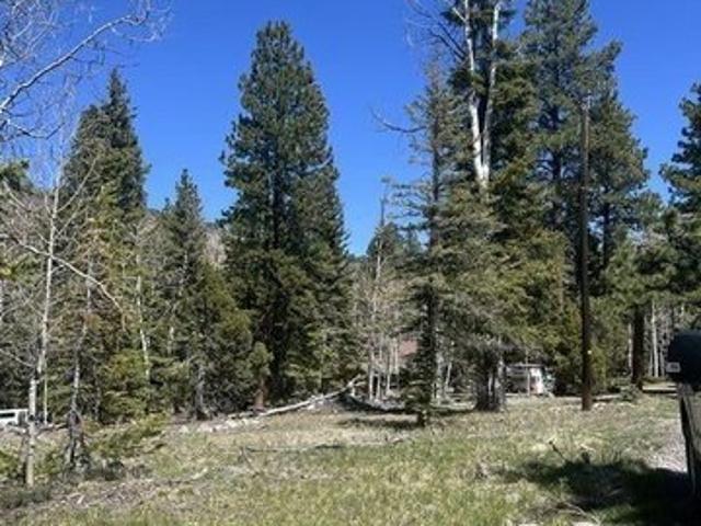 1014 W Chipmunk Rd Lot 1, Panguitch Lake, UT 84759