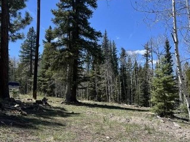 1014 W Chipmunk Rd Lots 13 & 14, Panguitch, UT 84759