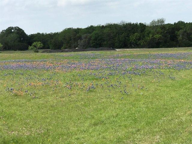 1014 White Bluff Dr, Whitney, TX 76692