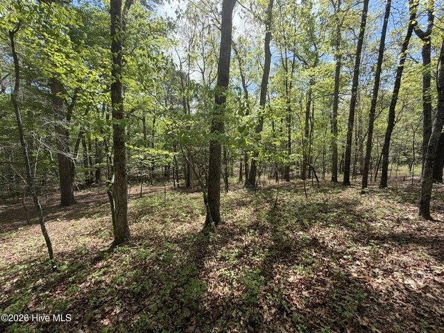 1014R Cedar Ln Lot 1014R, Seven Lakes, NC 27376