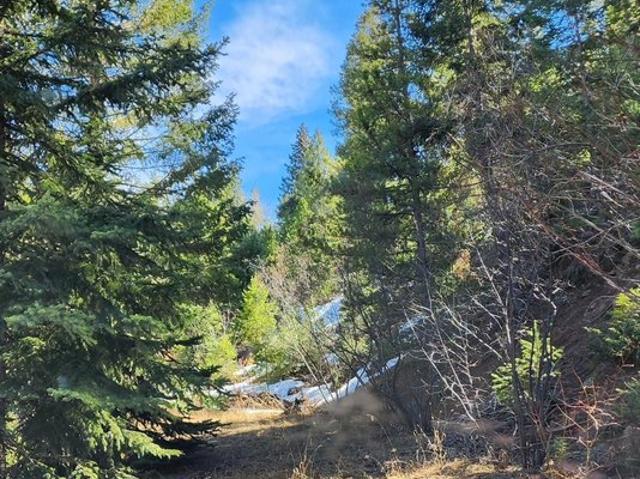 10151 Coronado Cir, Morrison, CO 80465