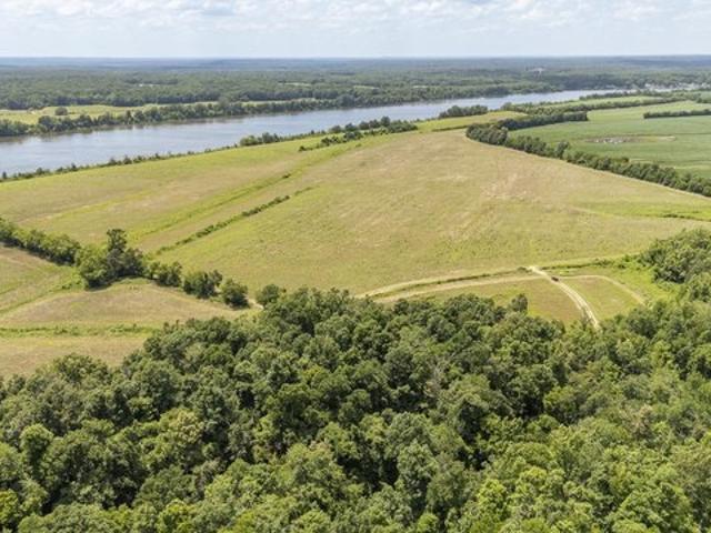 10157 Clifton Rd, Savannah, TN 38372