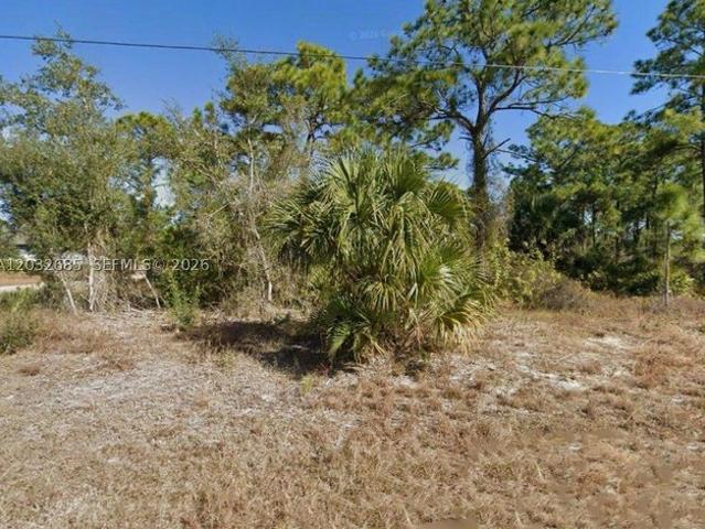 1015 Maddock St E, Lehigh Acres, FL 33974