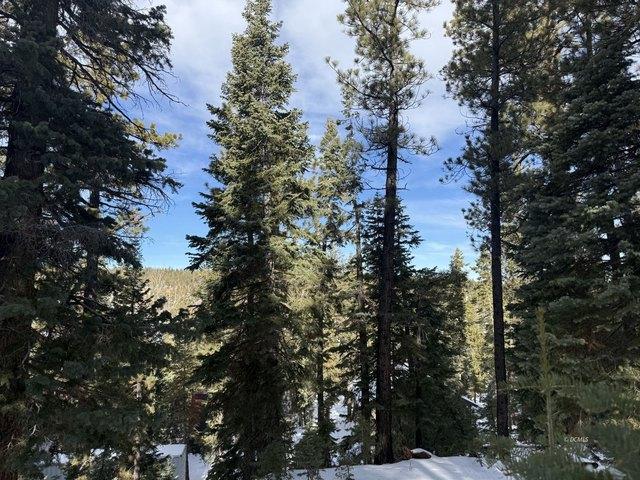 1015 E Pioneer Rd, Duck Creek Village, UT 84762