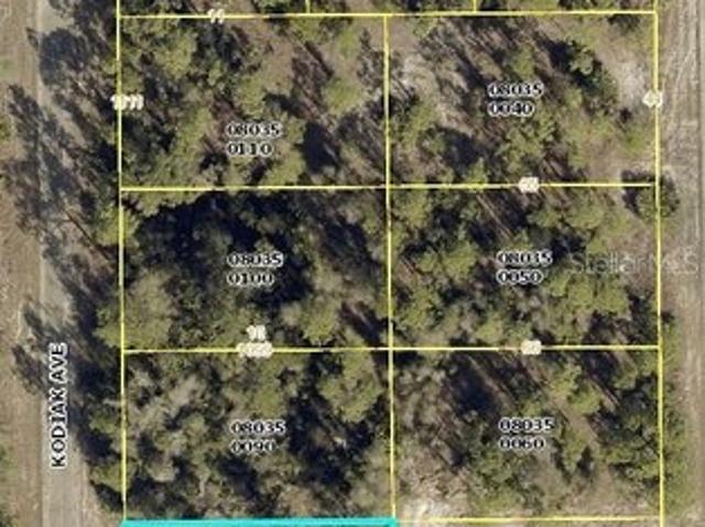 1015 Kodiak Ave, Lehigh Acres, FL 33974
