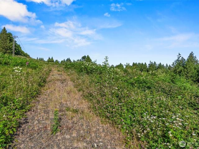 1015 Lone Oak Road