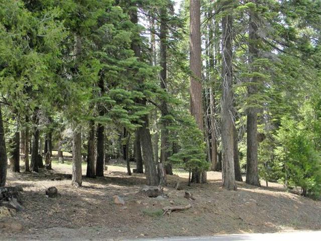 1015 Timber Ridge Rd, Lake Almanor, CA 96137