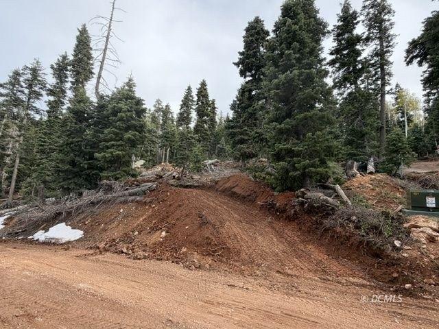 1015 W Big Horn, Duck Creek Village, UT 84762