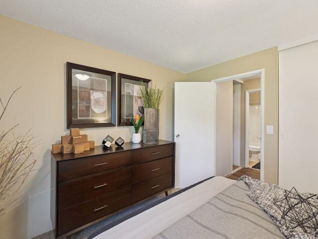 1015 2nd St NE 1 Bedroom Apartment for Rent at 1015 2nd St Ne, Hopkins, MN 55343
