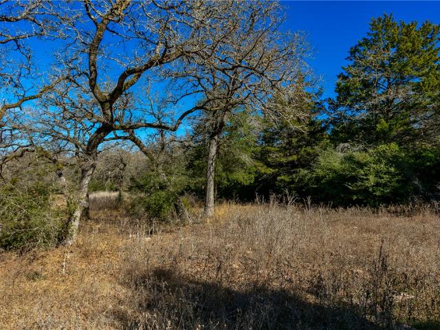 10162 County Road 321