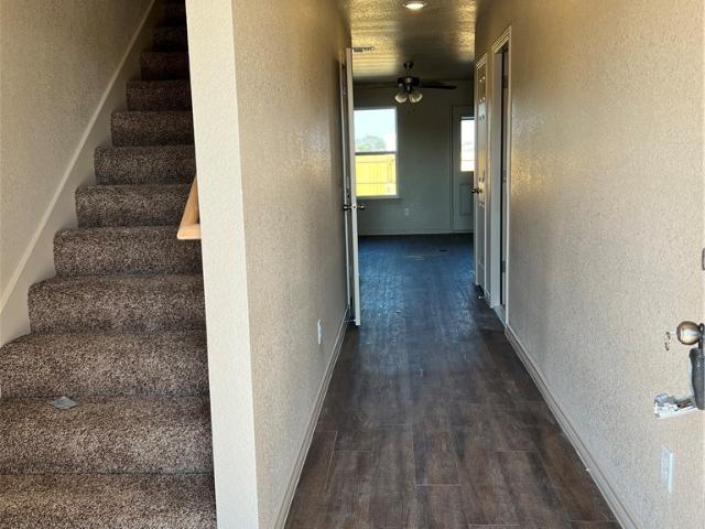 1016 Cline Drive