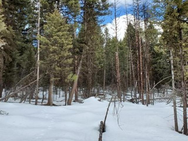 1016 Grandview Dr, Seeley Lake, MT 59868