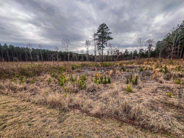 1016 Hidden Lake Ct, Lincolnton, GA 30817
