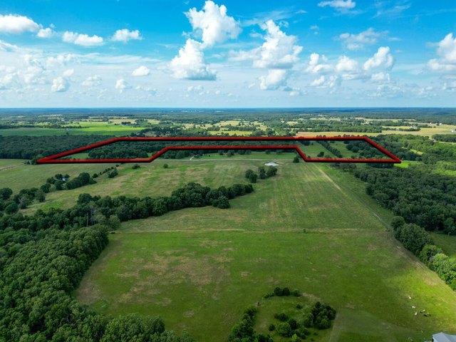 10175 Doe Run Rd, Phillipsburg, MO 65722