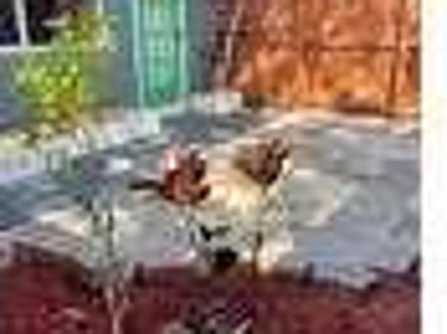 1017 N Victoria Park Rd #3, Fort Lauderdale, FL 33304