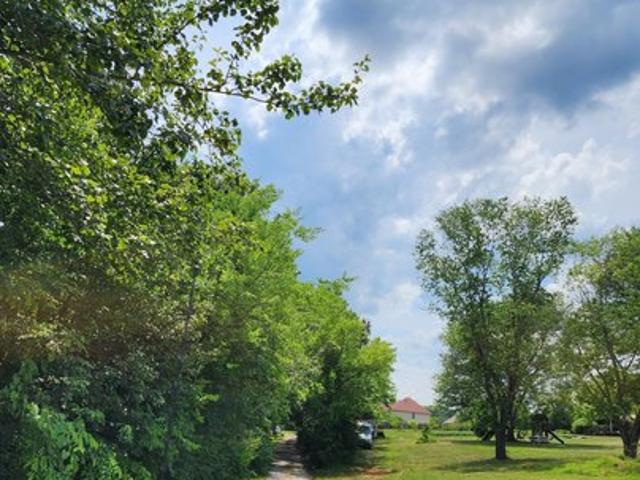1017 Catlett Rd, Knoxville, TN 37932
