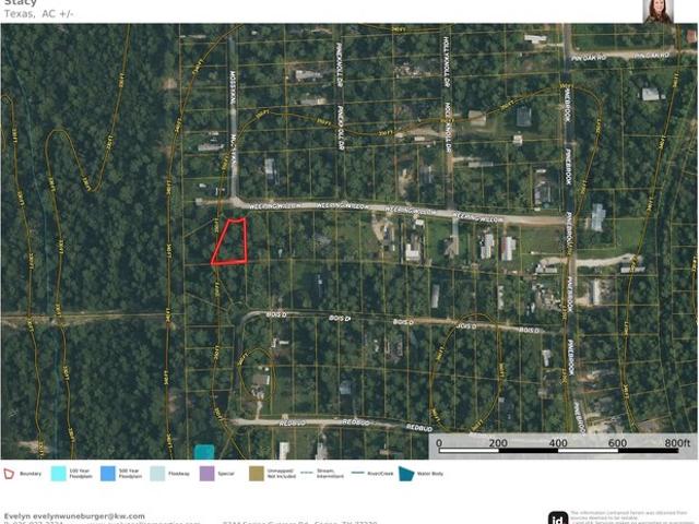 1017 Weeping Willow Dr, Plantersville, TX 77363
