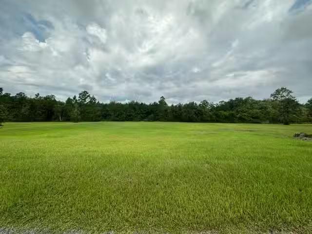 10180 DEER CREEK DR E, THEODORE, AL 36582 Single Family Reside.
