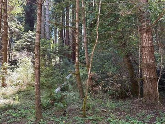 10181 Sorcerer Wood, The Sea Ranch, CA 95497