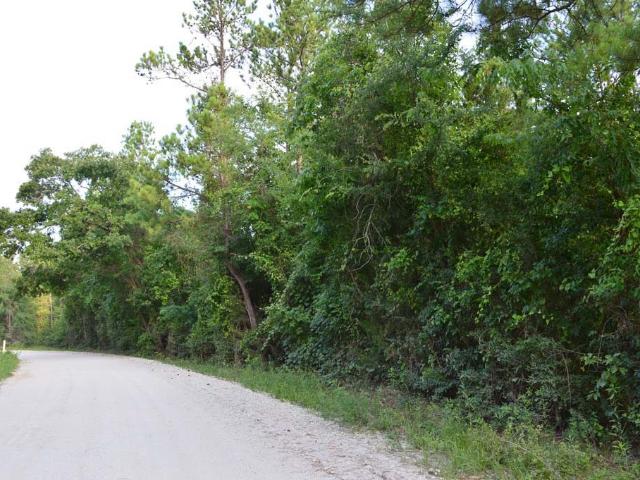 10182 County Road 208