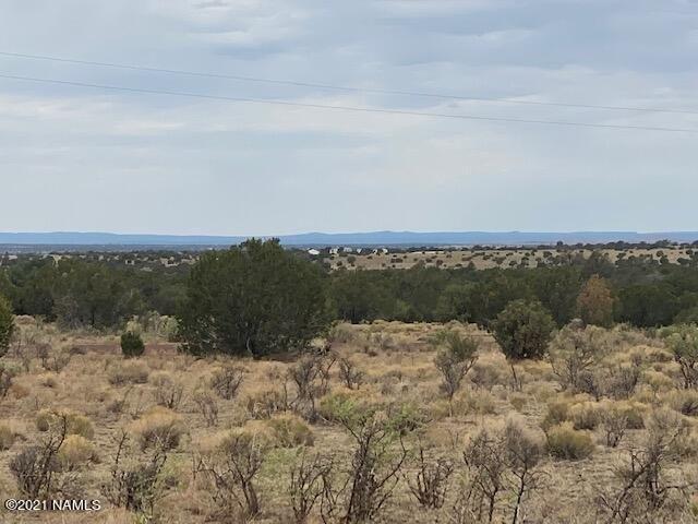 10187 S Cougar Ct, Williams, AZ 86046