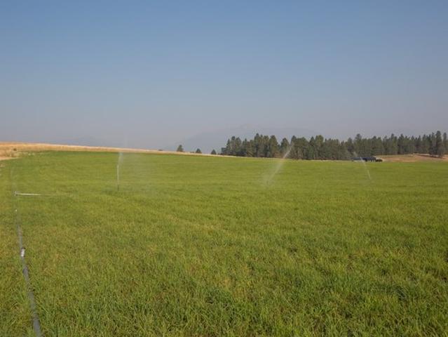 1018 Majestic Pine Pl, Stevensville, MT 59870