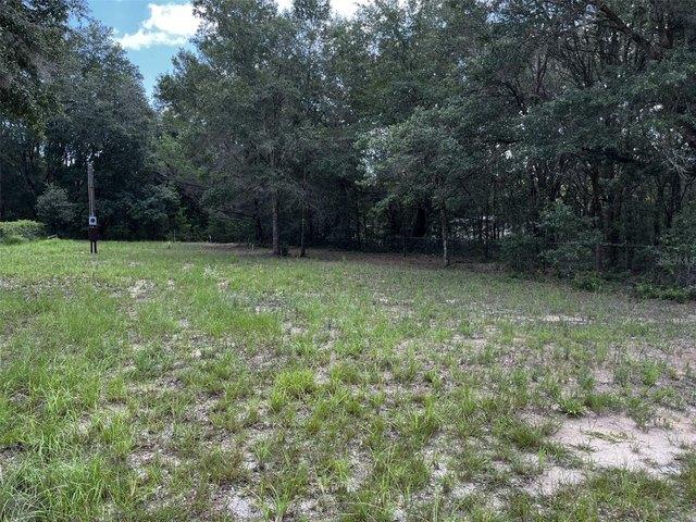 1018 Kitty Ave, Interlachen, FL 32148