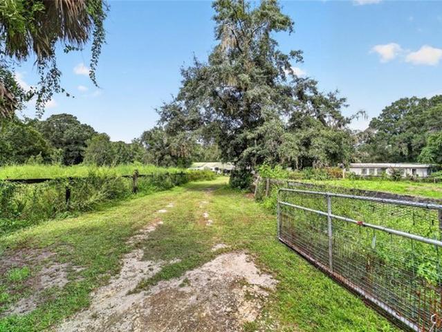 10195 NW 160th St, Reddick, FL 32686