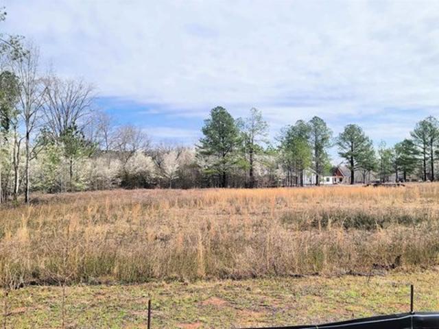 1019 Chancellor Ferry Loop Lot 1085, Harpersville, AL 35078