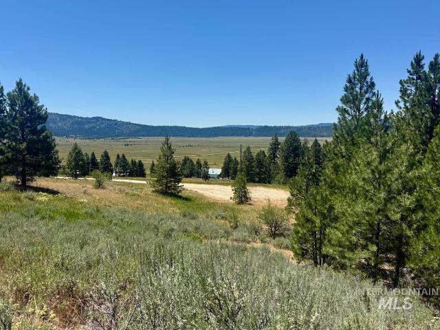 10108 Howling Wolf Court