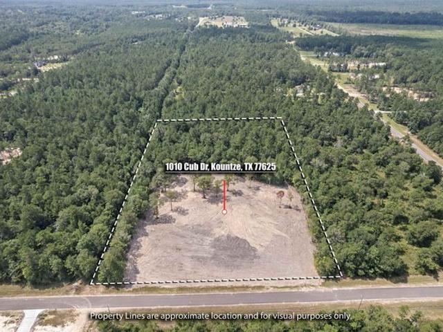 1010 Cub Dr, Kountze, TX 77625