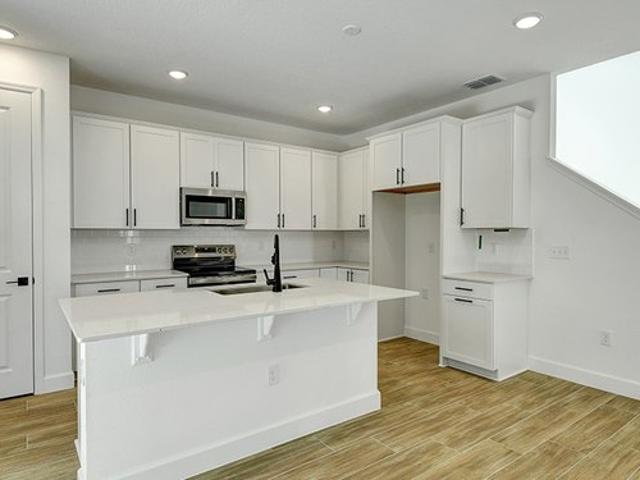 1010 Cloud Ridge Ct, Mount Dora, FL 32757