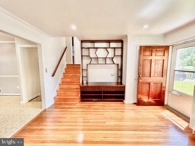 1010 Kennon Court