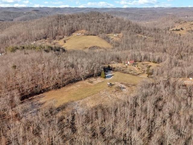 1010 Kleeners Ridge Rd, Duck, WV 25063