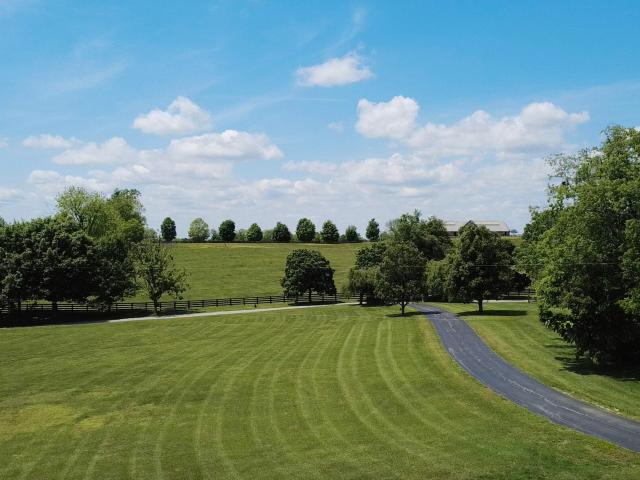 1010 Steele Road
