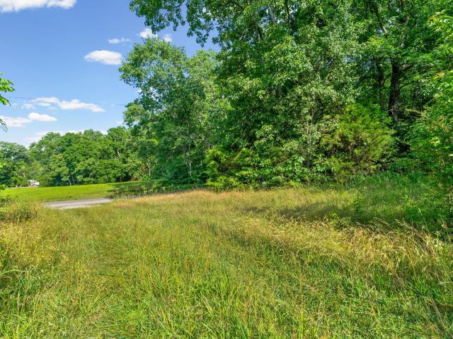 1010 Saddle Tree Rd