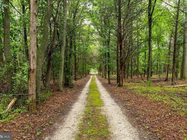 1010 Willow Grove Rd, Pittsgrove, NJ 08318
