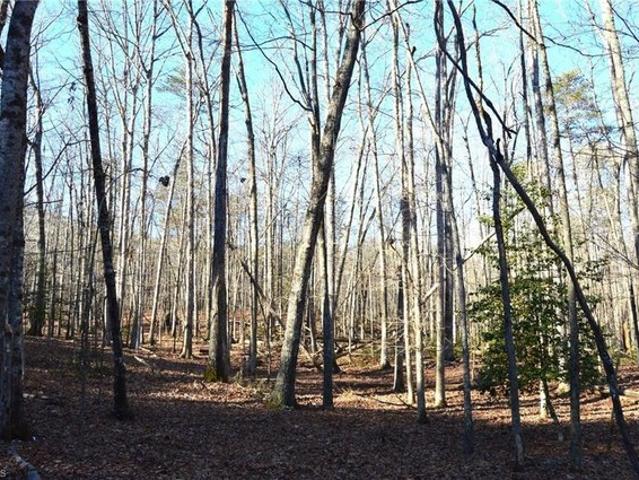 1010 1 Hanging Rock Park Rd, Danbury, NC 27016