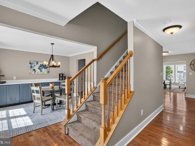 10110 Mindy Court