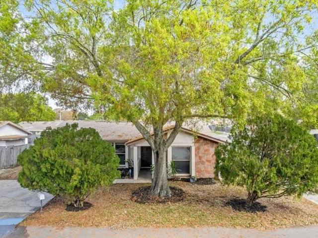 10111 Timber Oaks Ct, Tampa, FL 33615