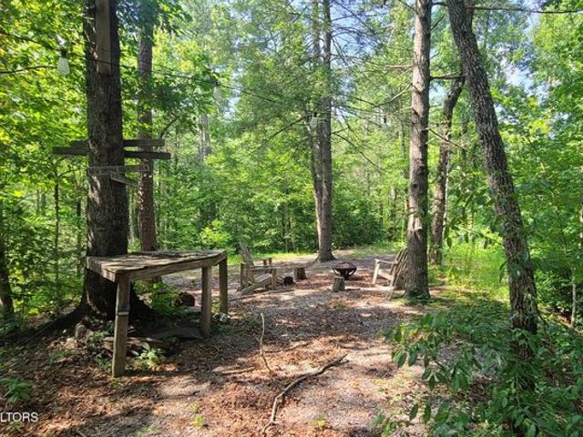 1011 Carrs Creek Rd, Townsend, TN 37882
